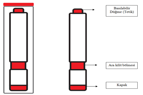 Çocuk Alerji, İmmünoloji ve Astım Uzmanı, Çocuk Sağlığı ve Hastalıkları ...